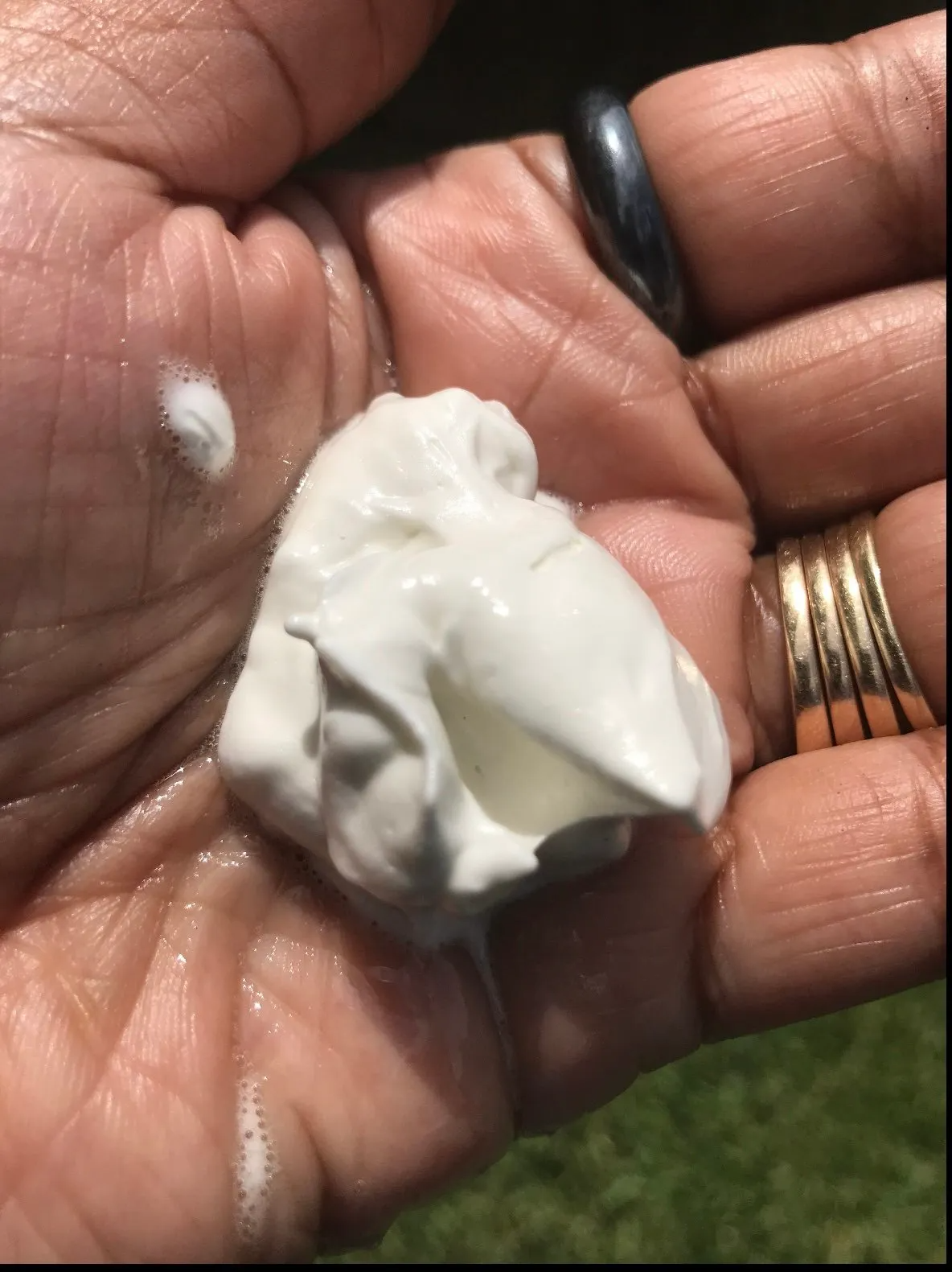 WHIPPED SHEA BUTTER – GlassWing Organics